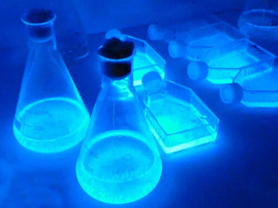 Bio-bulb Kit : Grow Your Own Bioluminescent Dinoflagellate Kit (dino ...