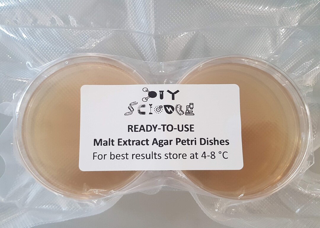 Malt Extract Agar (MEA) Petri Dishes X6 (sterile, Vacuum Sealed & Ready ...