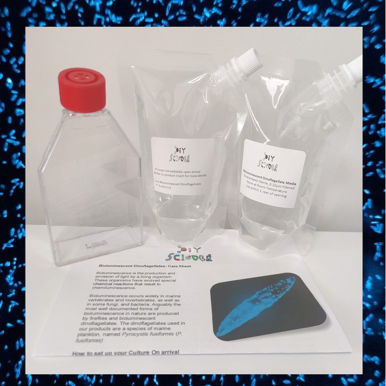 Diyscience: Grow Your Own Bioluminescent Dinoflagellate Kit (dino Pet ...