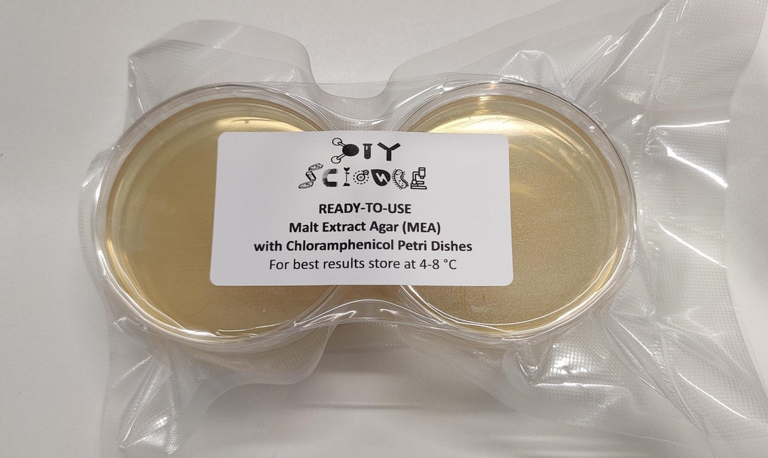 Malt Extract Agar MEA W/ Chloramphenicol Petri Dishes X6 sterile ...