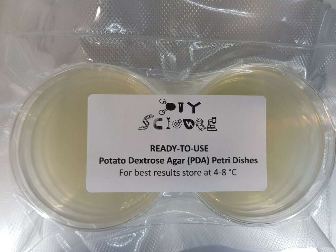 Potato Dextrose Agar PDA Petri Dishes X6 sterile, Vacuum Sealed & Ready ...