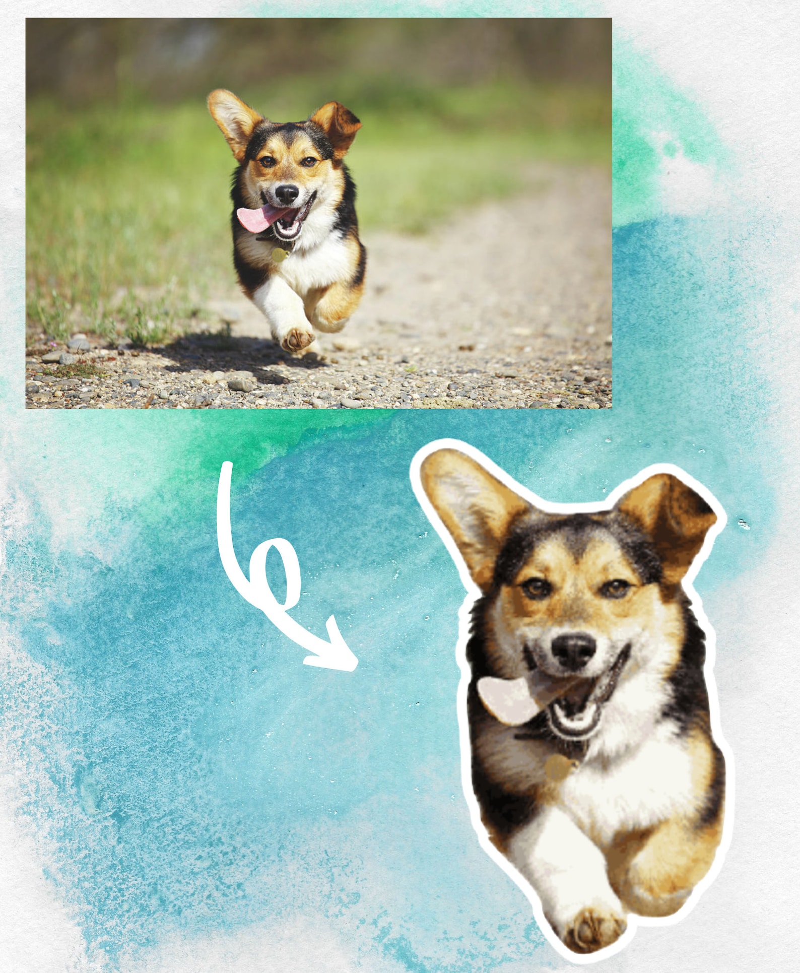 Pet Sticker Pet Photo Sticker Dog Sticker Cat Sticker - Etsy