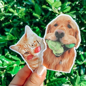 Pet Sticker, Pet Photo Sticker, Dog Sticker, Cat Sticker, Custom Pet ...