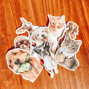 Pet Sticker, Pet Photo Sticker, Dog Sticker, Cat Sticker, Custom Pet ...
