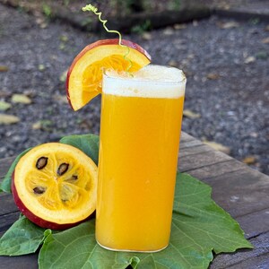 10x Musk Cucumber Seeds Rare Exotic, Cassabanana, Sicana Odorifera ...