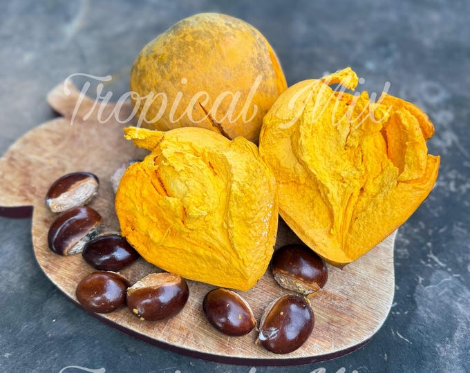 Canistel Sapote, Pouteria Campechiana, Eggfruit Fruit Tree Live Plant ...