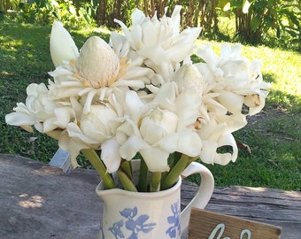White Torch Ginger Live Rhizome Tropical Plant Flower Hard to - Etsy