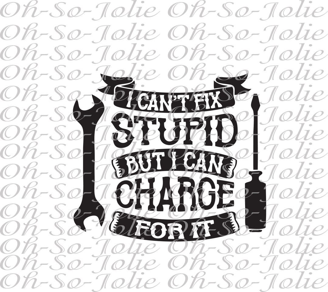 Digital SVG, I Can't Fix Stupid , SVG, Pdf, Png, Jpg, Cricut - Etsy