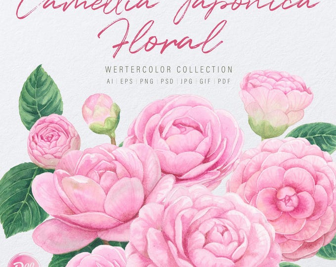 Camellia Flower Clip Art, Pink Floral Botanical Images, Scrapbooking ...
