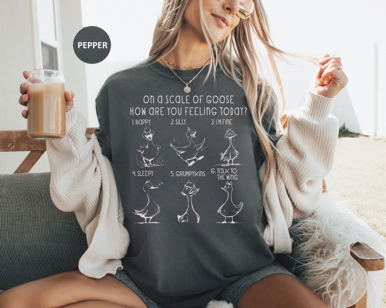 On A Scale of Goose Silly and Funny Comfort Colors T-shirt - Etsy