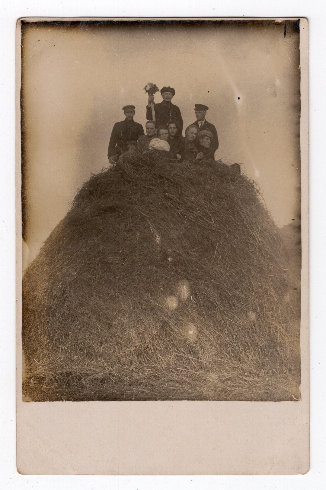 On Top of the Haystack, 1930s, Vintage Photo, RPPC - Etsy