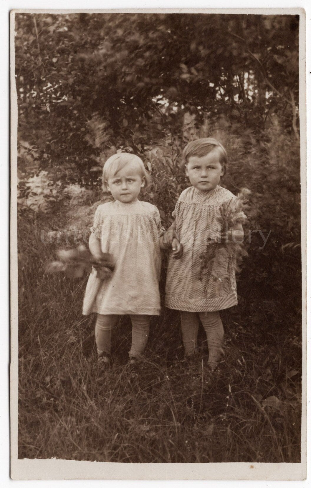 Little Girls Holding Hands, Vintage Photo - Etsy