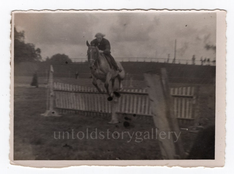 Horse Show Jumping, 1930s, Vintage Photo - Etsy