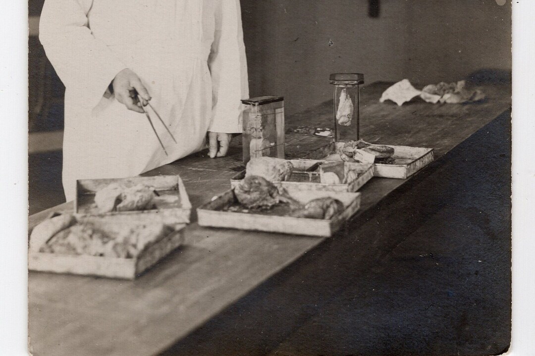 Anatomy Professor With Specimens, 1920s, Found Vintage Photo, RPPC - Etsy