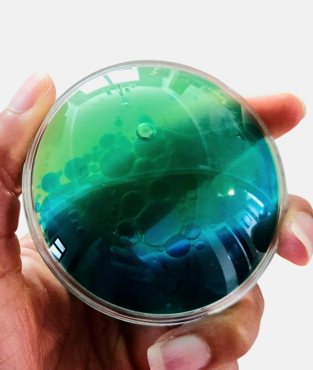 Oil and Water Sensory Disk | Fidget, Desk Toy, Visual Stim, Liquid ...