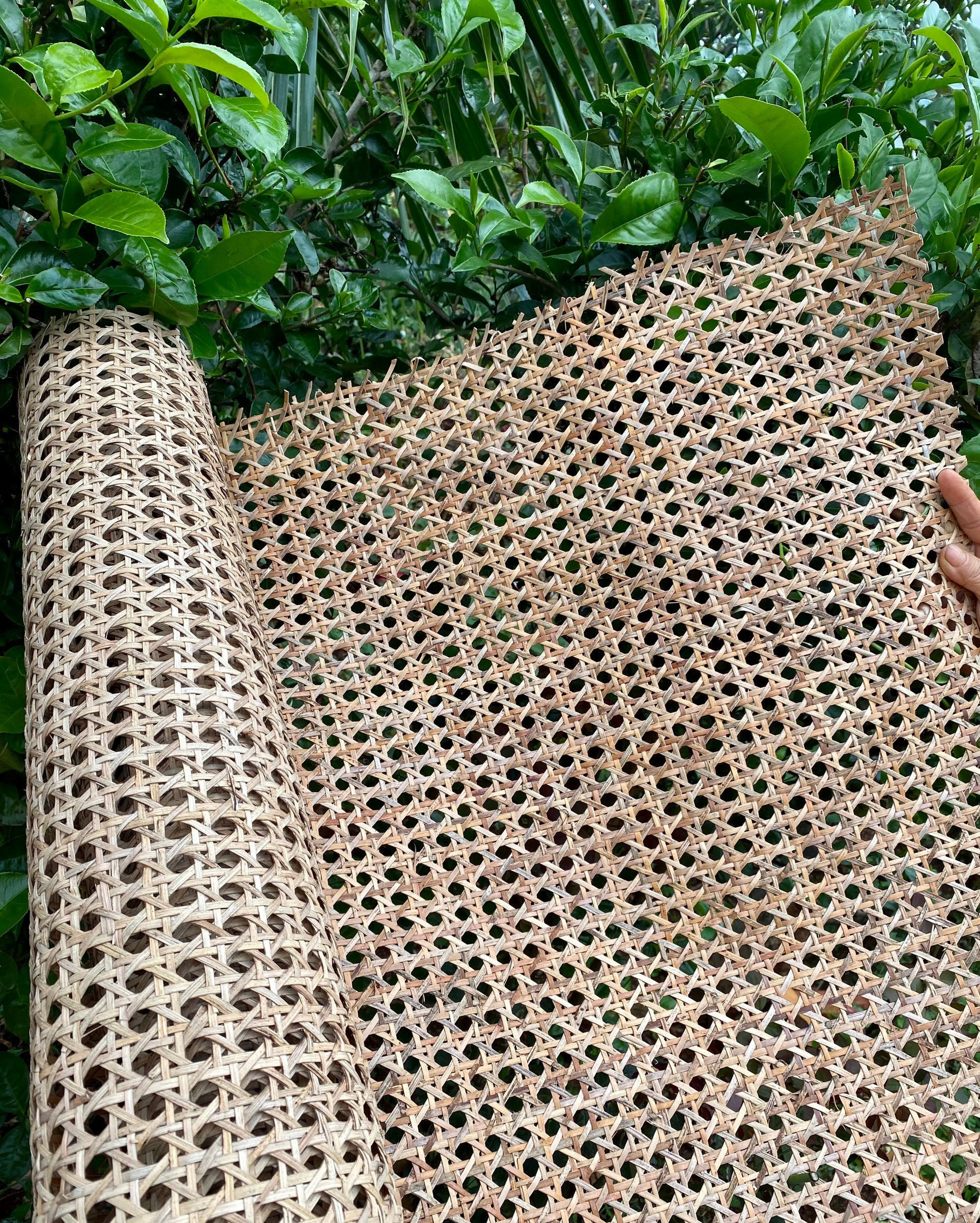 27.5 Wide NATURAL Hexagon Weave Rattan Cane Webbing | Etsy