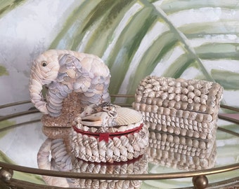 Seashell Collection Box - Etsy