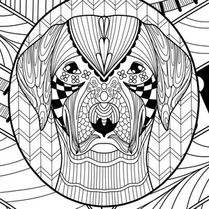 20 Zen Coloring Pages (digital PDF) - Etsy