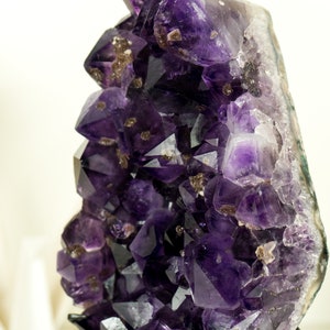 Tall Amethyst Cluster With AAA Large Purple Amethyst Druzy and Golden ...