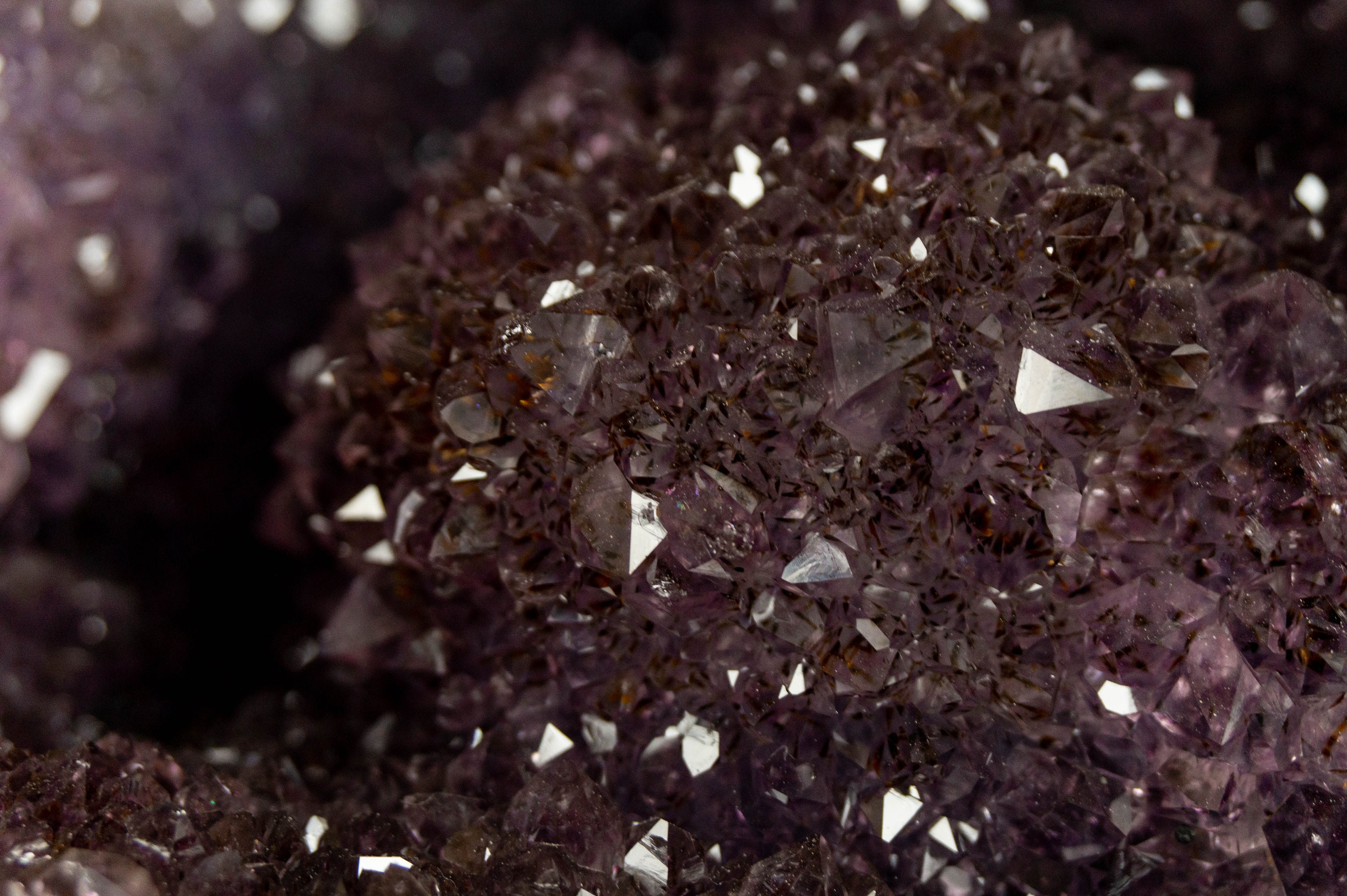 Rare Amethyst Geode with Golden Goethite Cacoxenite Druzy | Etsy