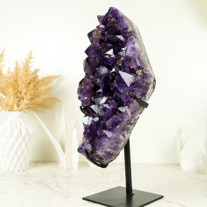 Tall Amethyst Cluster With AAA Large Purple Amethyst Druzy and Golden ...