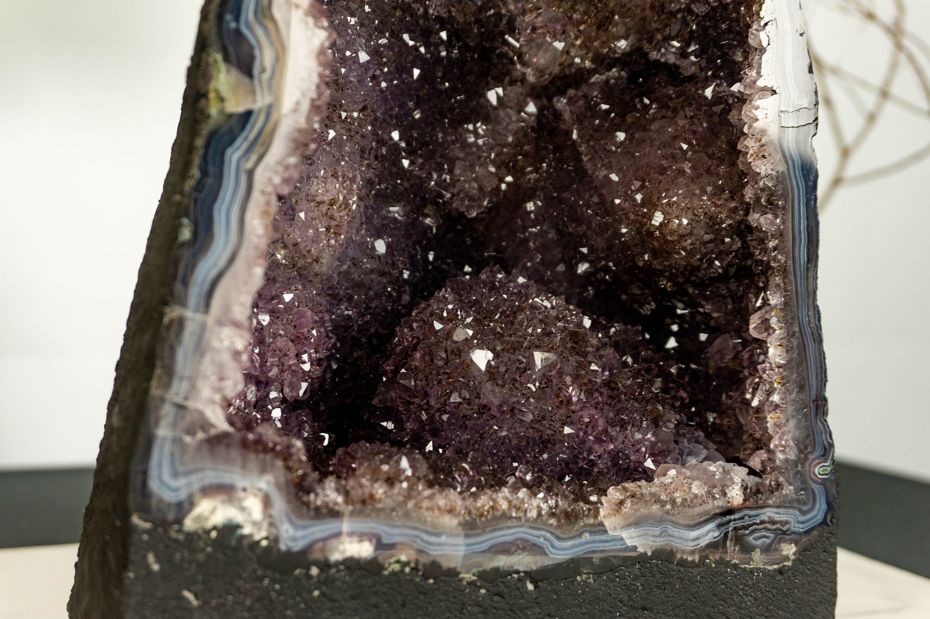 Rare Amethyst Geode with Golden Goethite Cacoxenite Druzy | Etsy