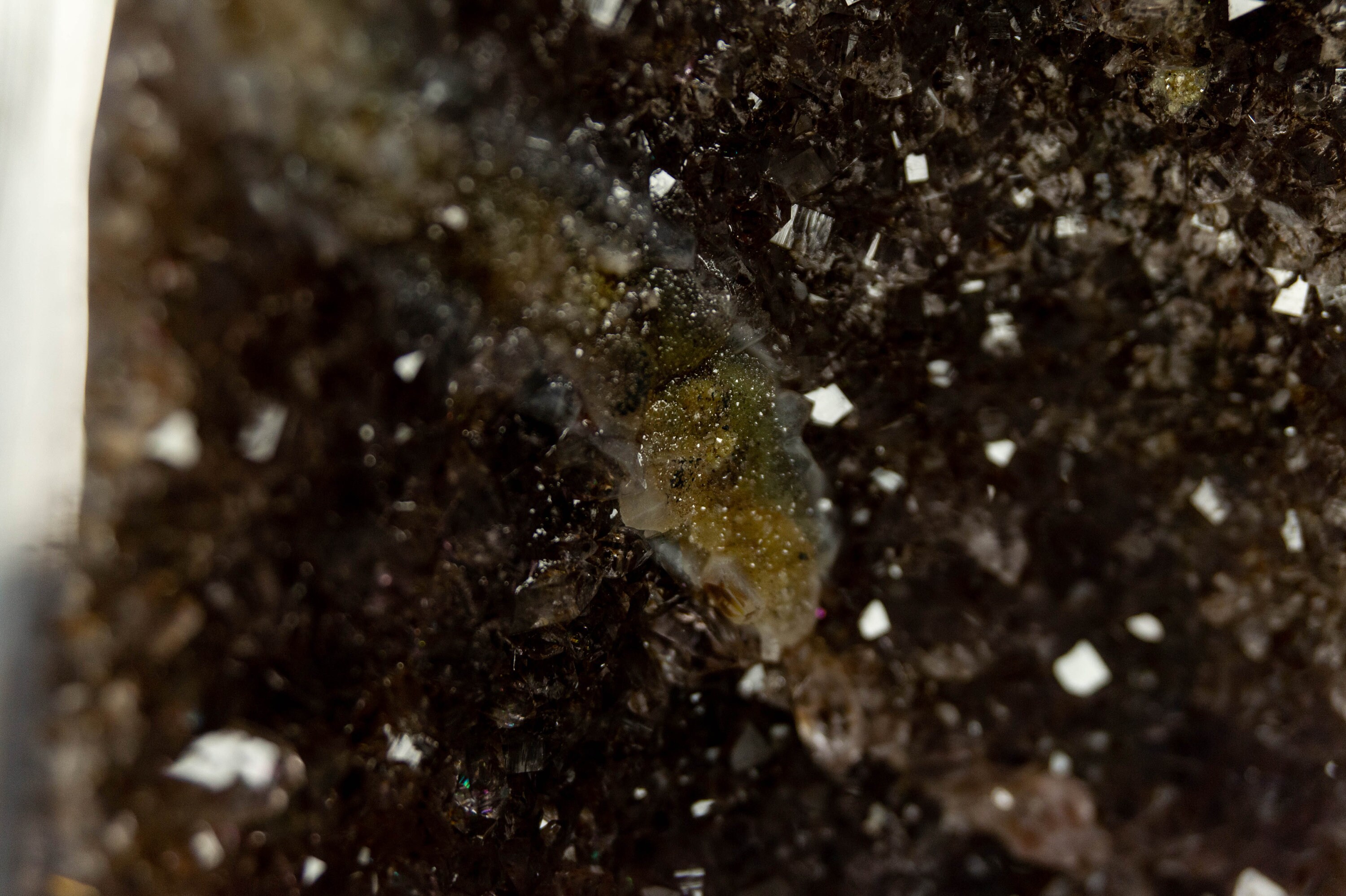 Rare Amethyst Geode with Golden Goethite Cacoxenite Druzy | Etsy