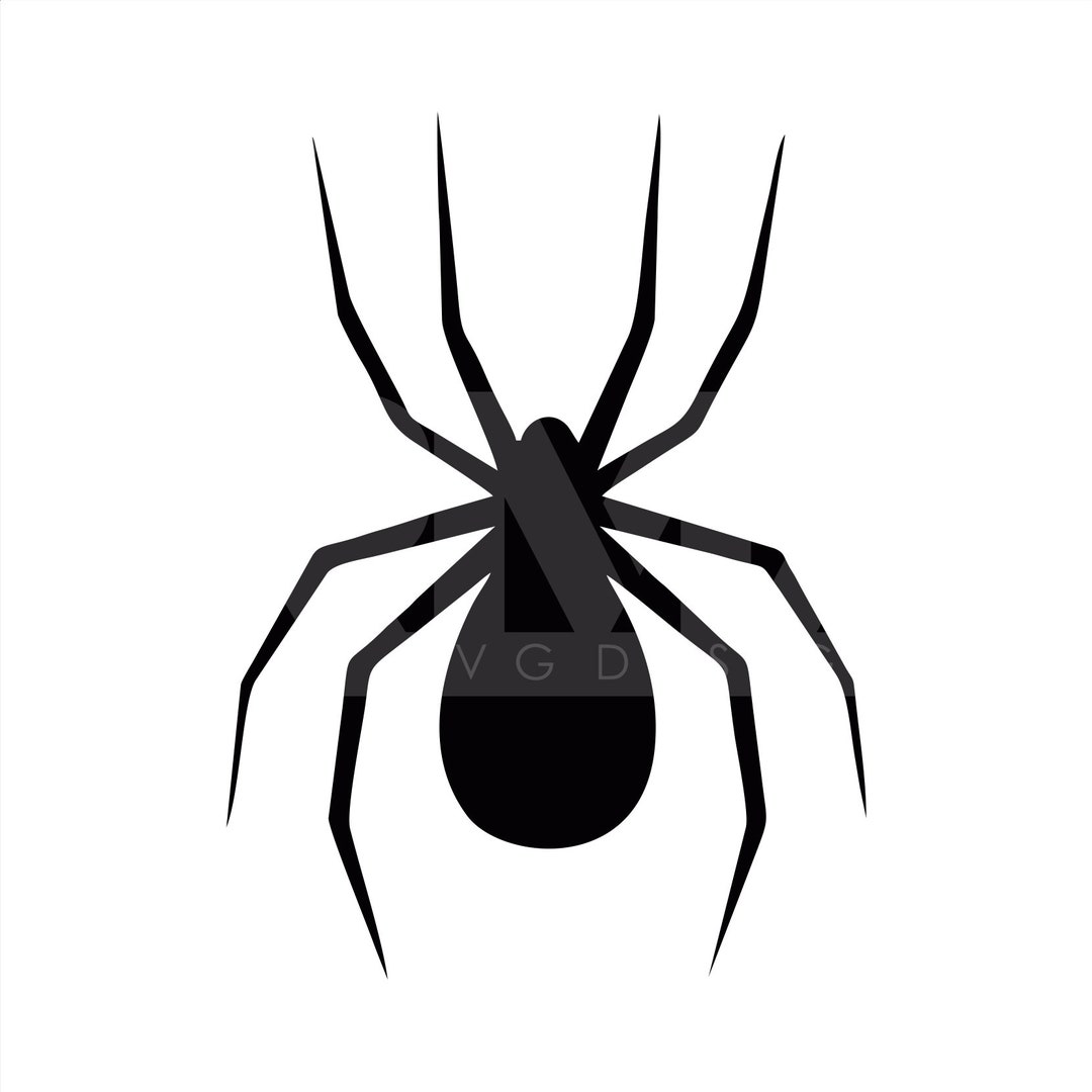 Spider SVG File, Halloween Shirt Svg, Cut File for Cricut or Silhouette ...