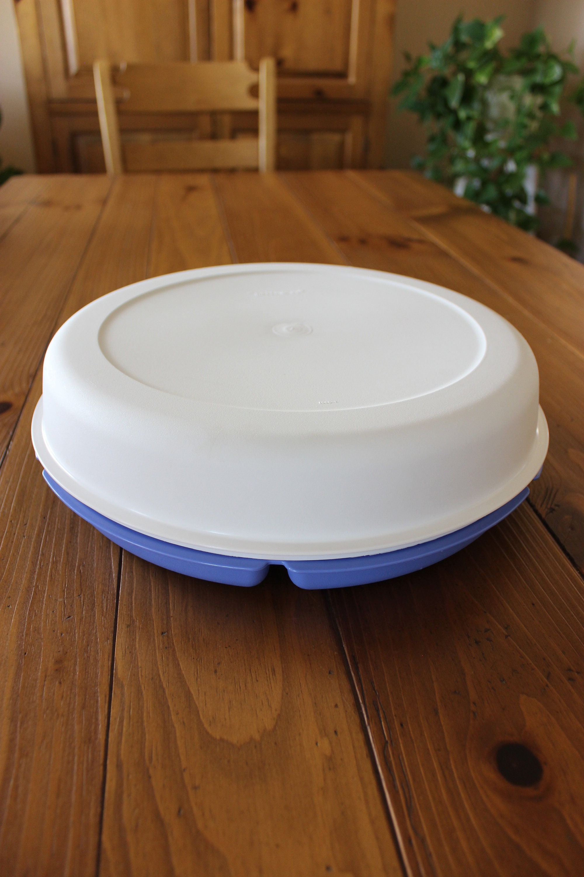 Vintage Tupperware Party Platter / Vegetable and Dip / Snack Tray ...