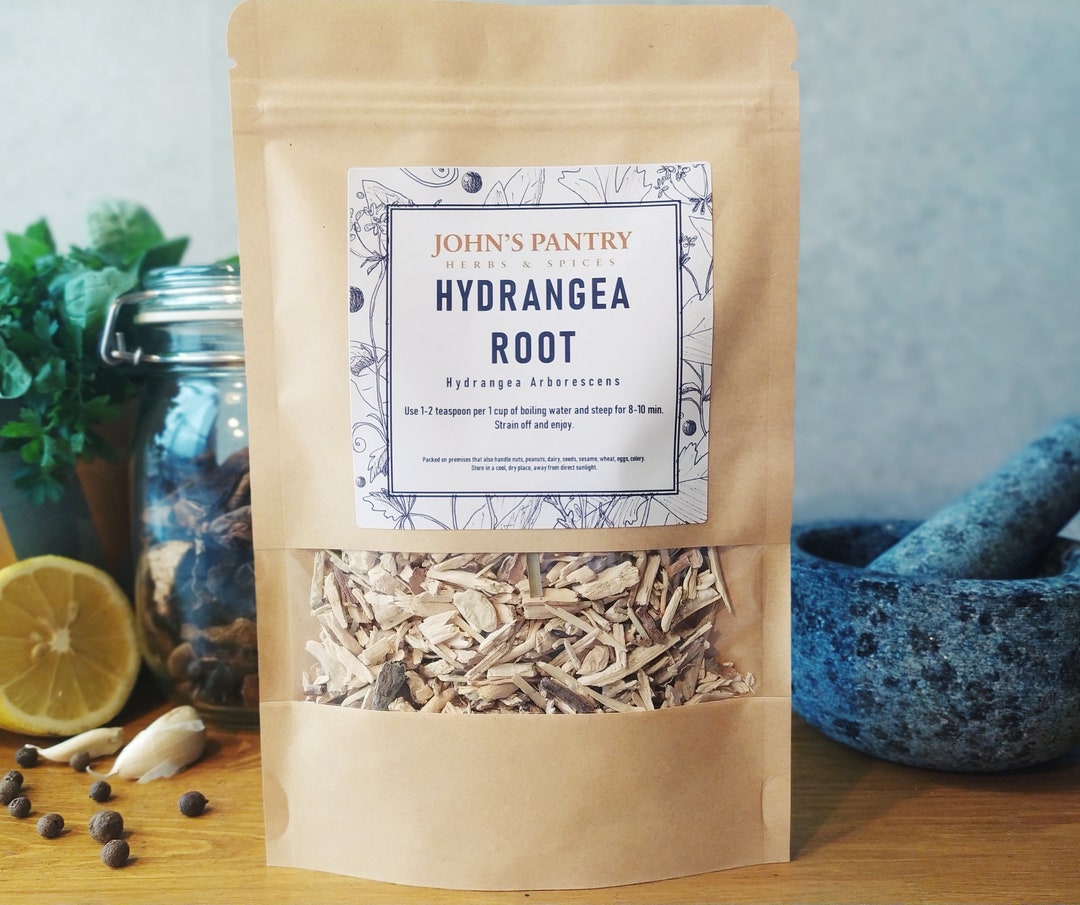 Hydrangea Root hydrangea Arborescens Kidney Support Bladder Infection ...
