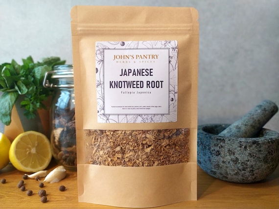Japanese Knotweed Root fallopia Japonica 50g 100g | Etsy