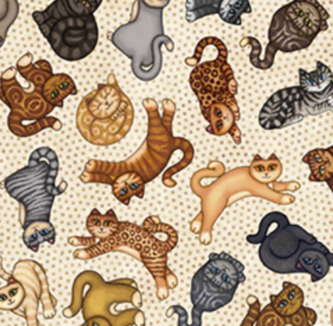 Meow Cat Toss Fabric QT Fabrics Cat Fabric by the Yard - Etsy