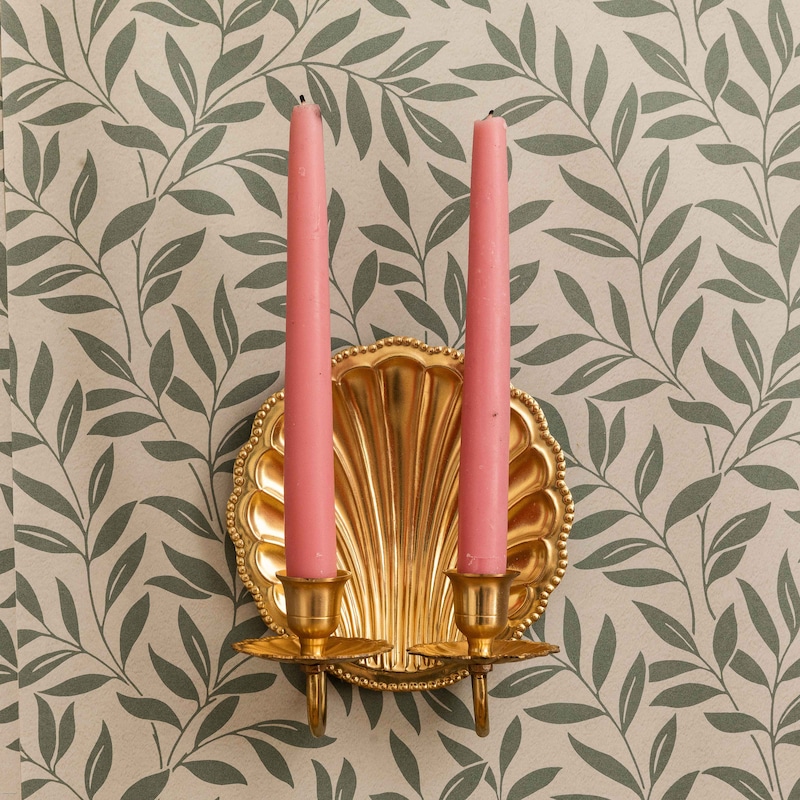 Shell Sconce - Etsy