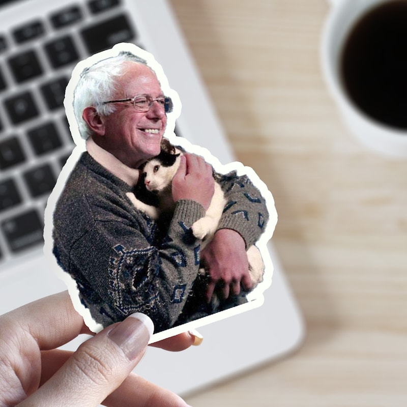 Bernie Sanders Decals - Etsy UK
