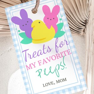 Editable Easter Gift Tag Digital Download Easter Basket Tag for Kids ...
