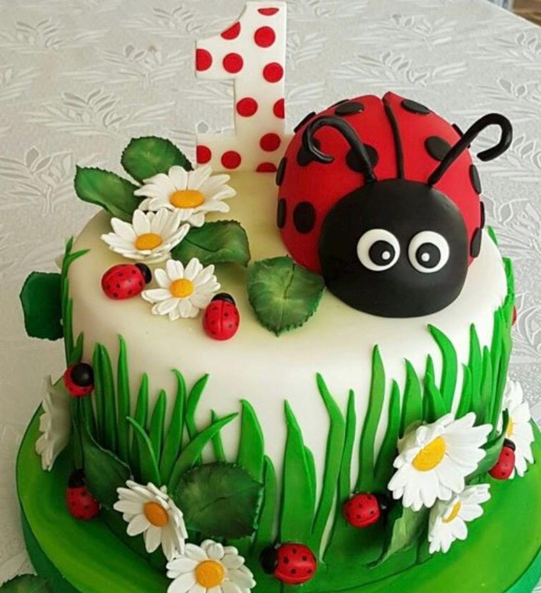 Lady Bug Fondant Covered Cake - Etsy