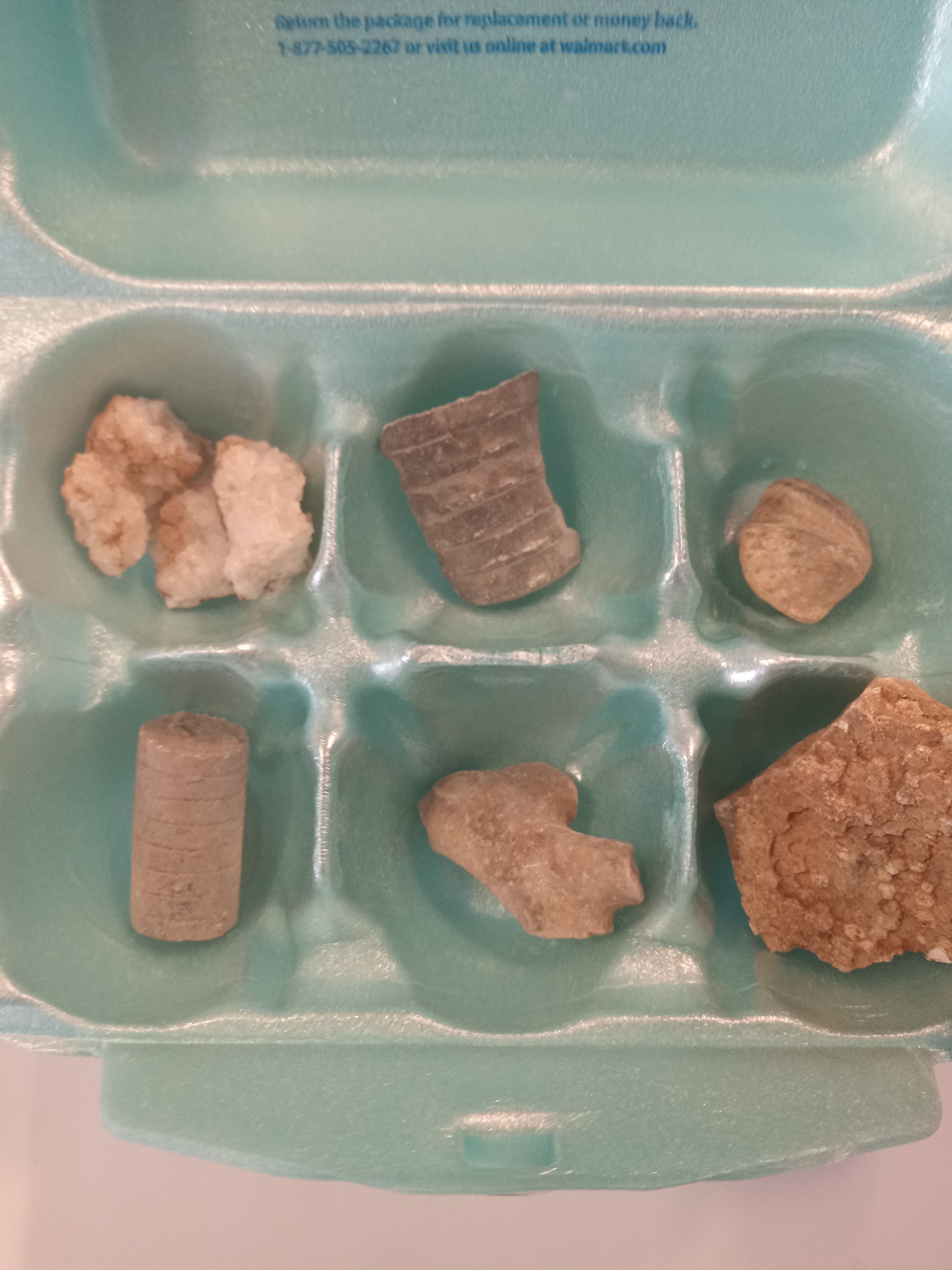 Paleozoic Fossil Collecting Starter Kit - Etsy