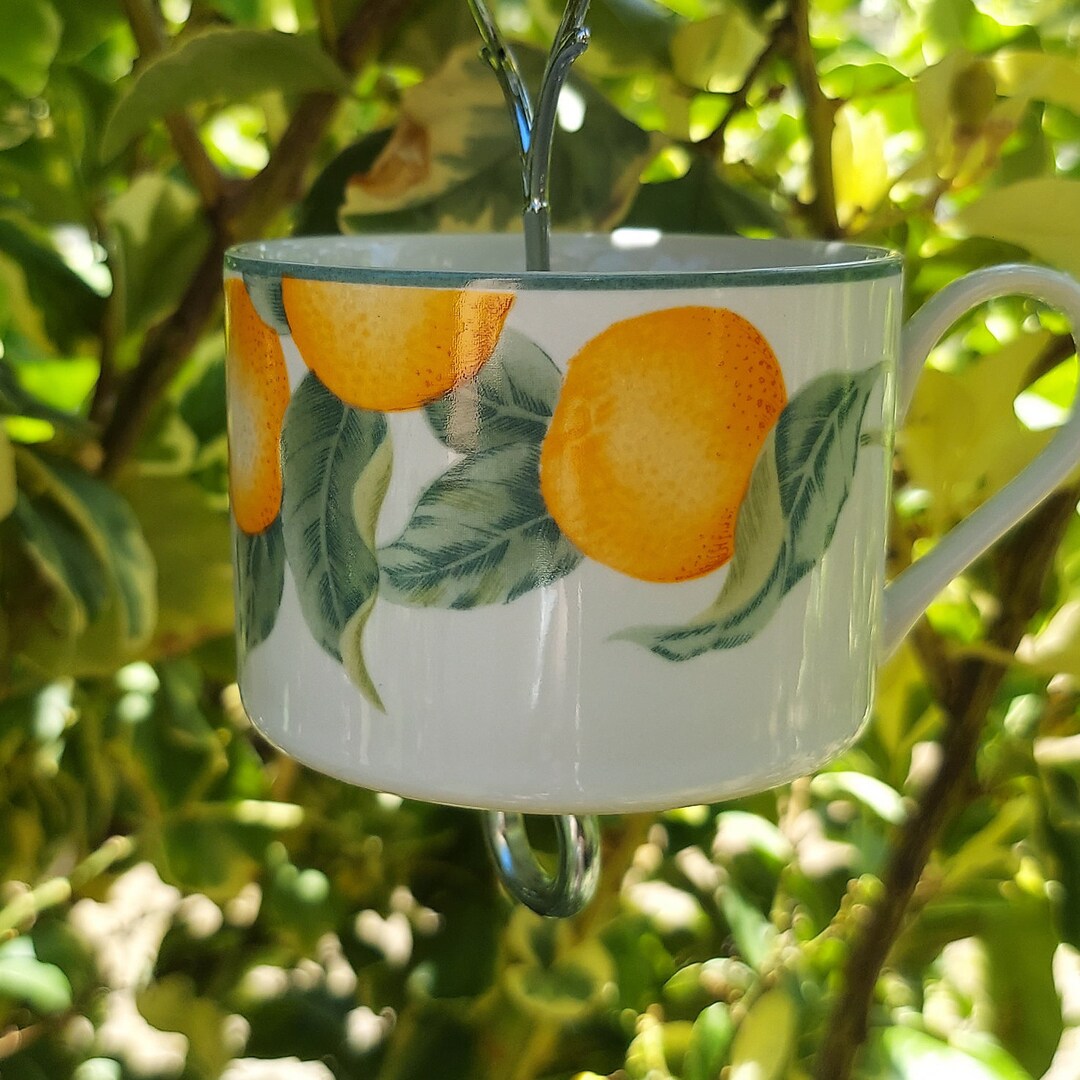 Ant Moat, Ant Trap, Ant Prevention, Oriole Jelly, Fruit Feeder ...