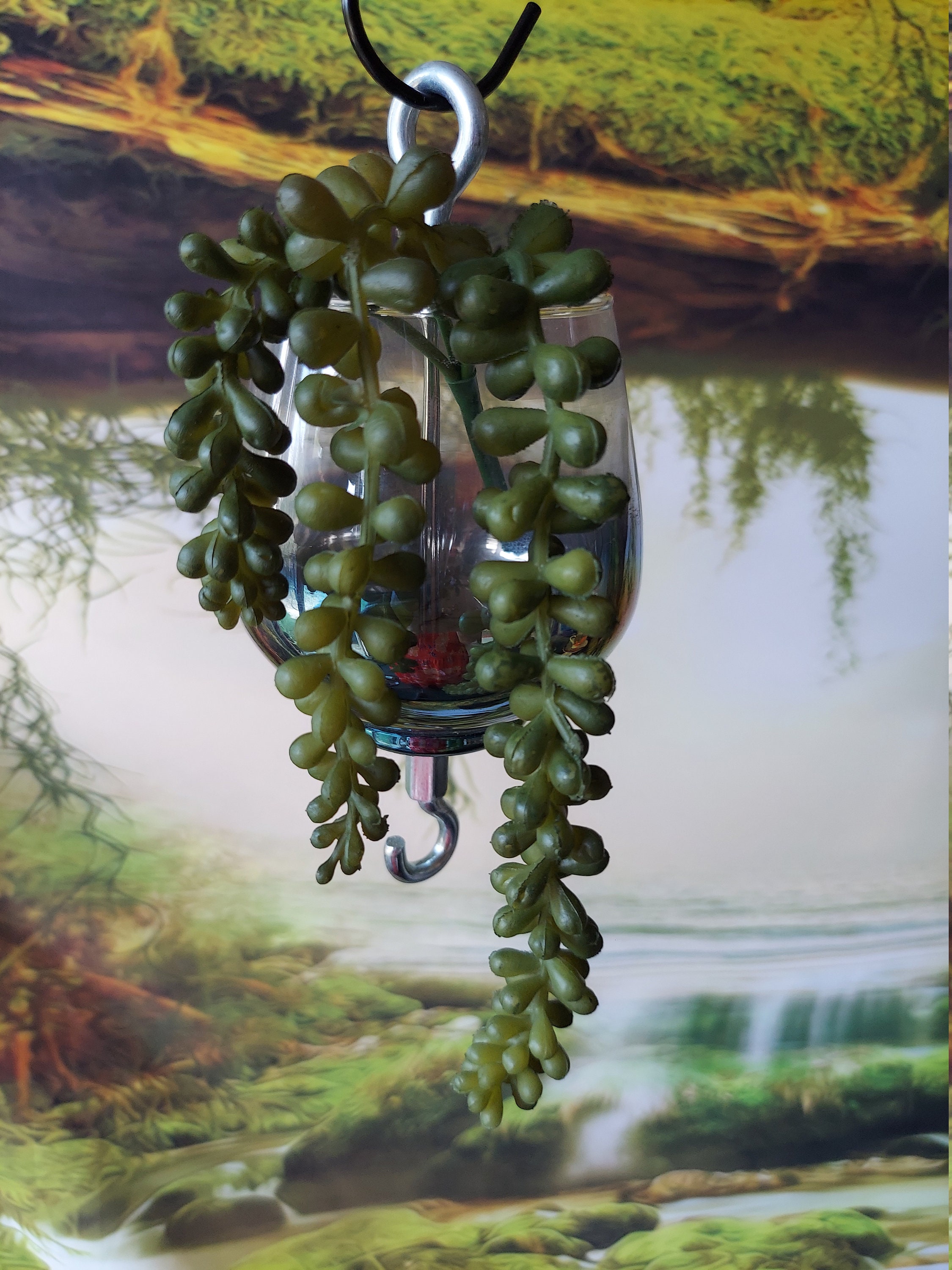 Mini Glass Planter Ant Moat Ant Trap Natural Ant - Etsy