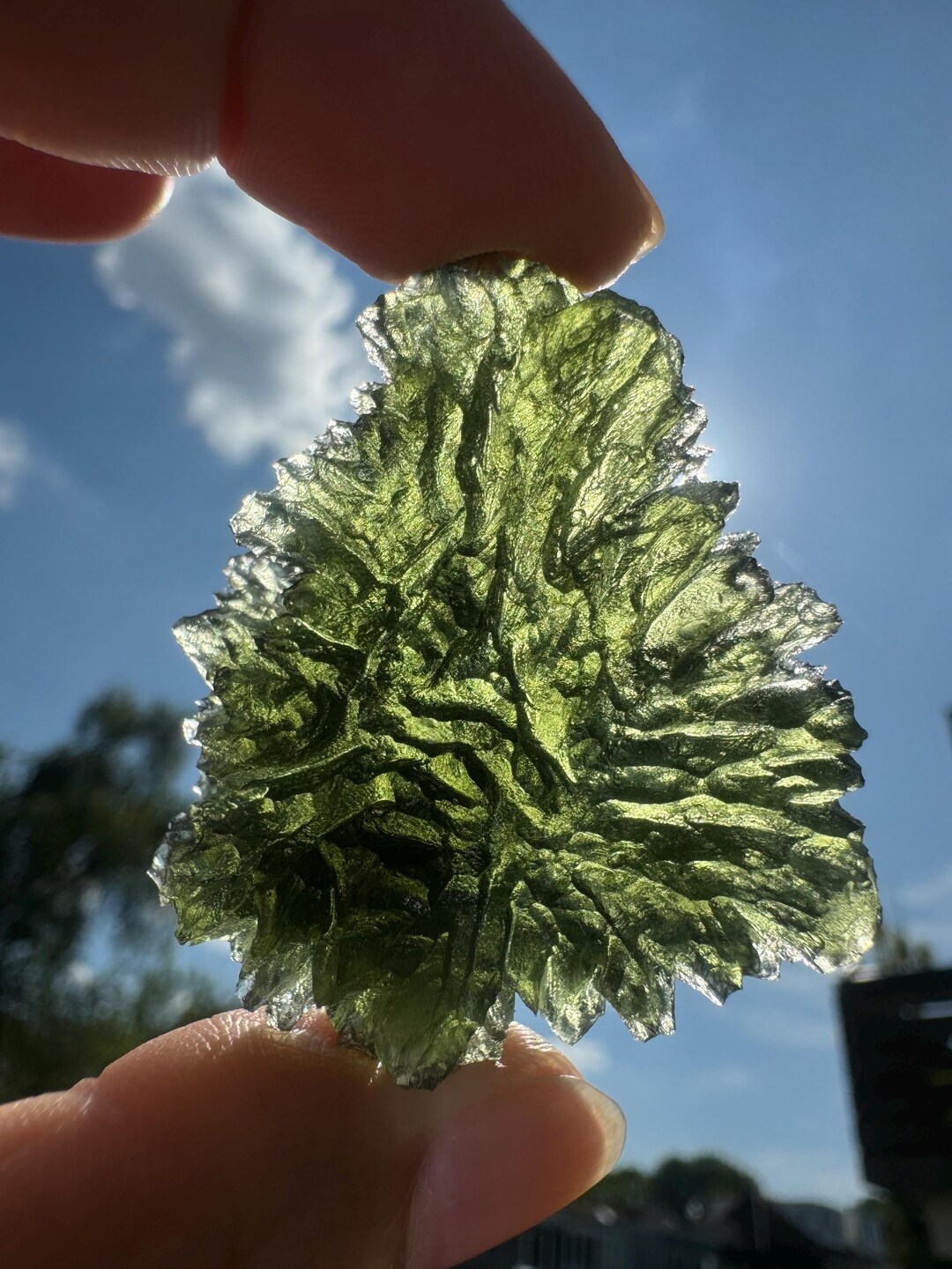 Besednice Jezkovna Hedgehog Deep Texture 17.76 G Collector Quality Self ...