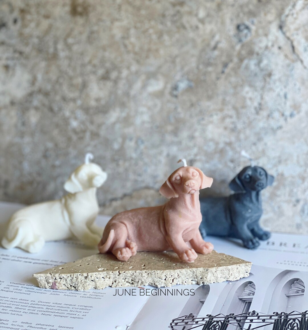 Pillar Candles, Sausage Dog, Dachshund, Dog Lover, Birthday Gift ...