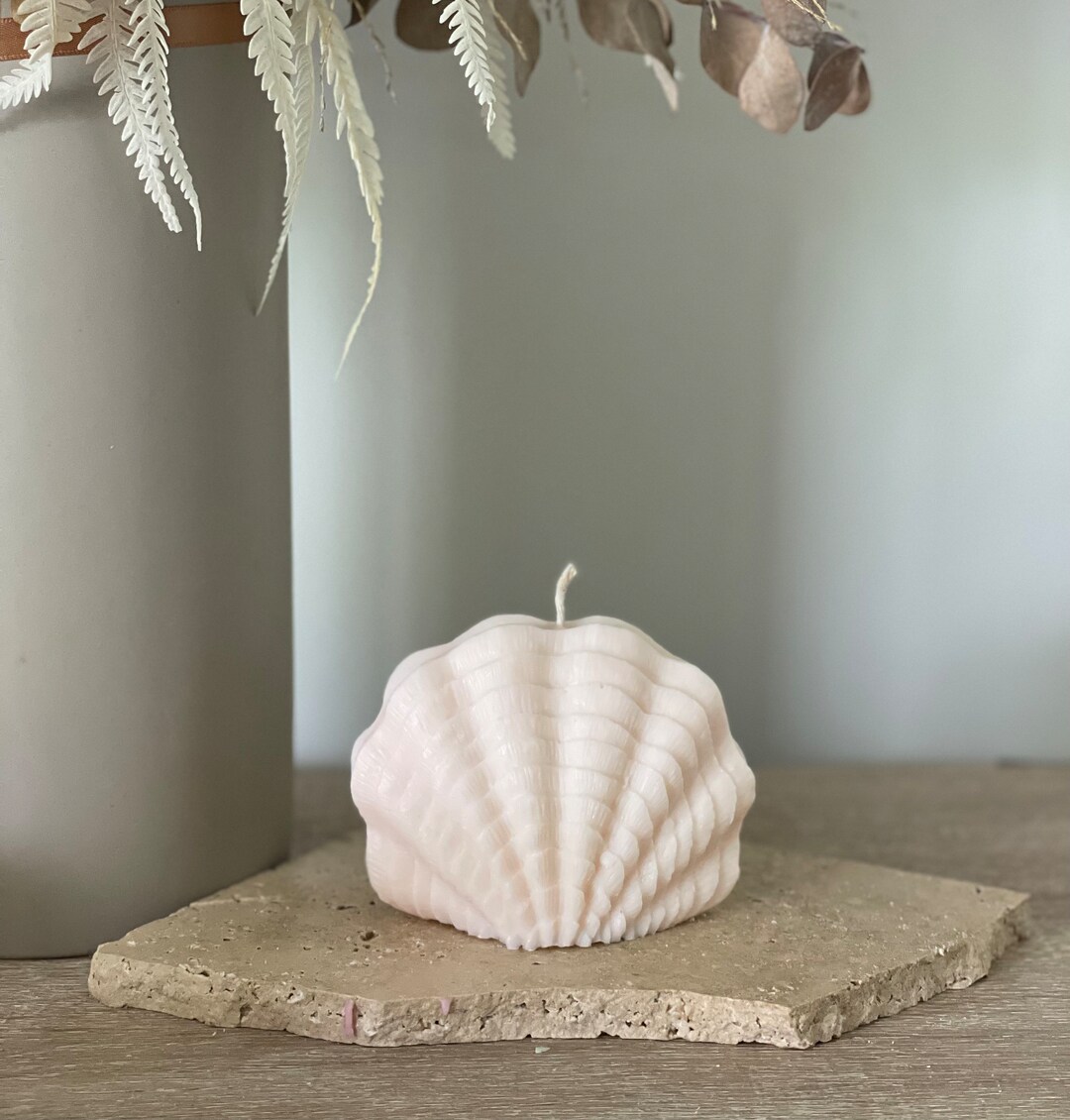 Sea Shell, Coastal Home Decor, Conch Shells, Birthday Gift, Beach Art ...