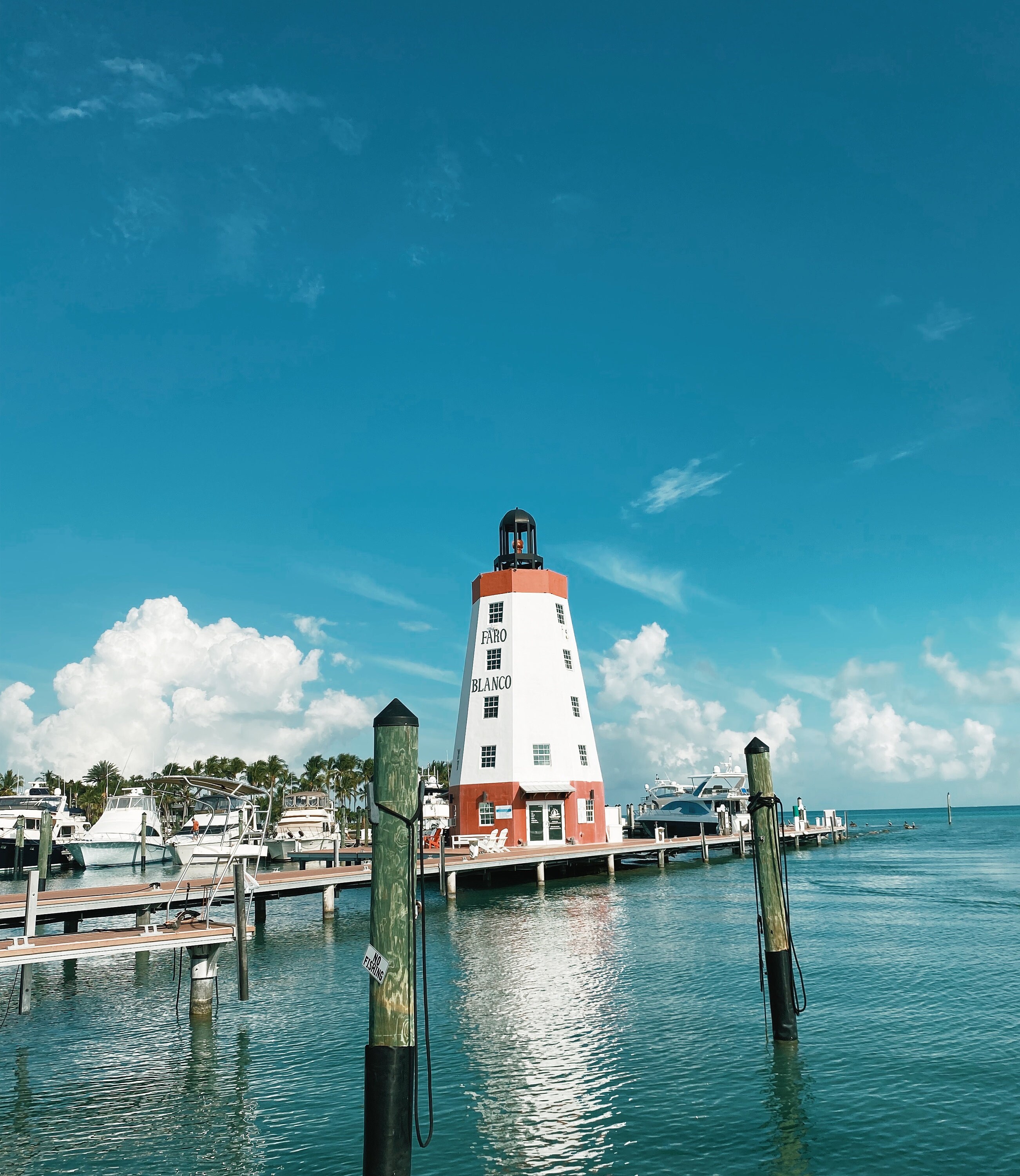 Are Dogs Allowed At Lighthouse Grill In Marathon