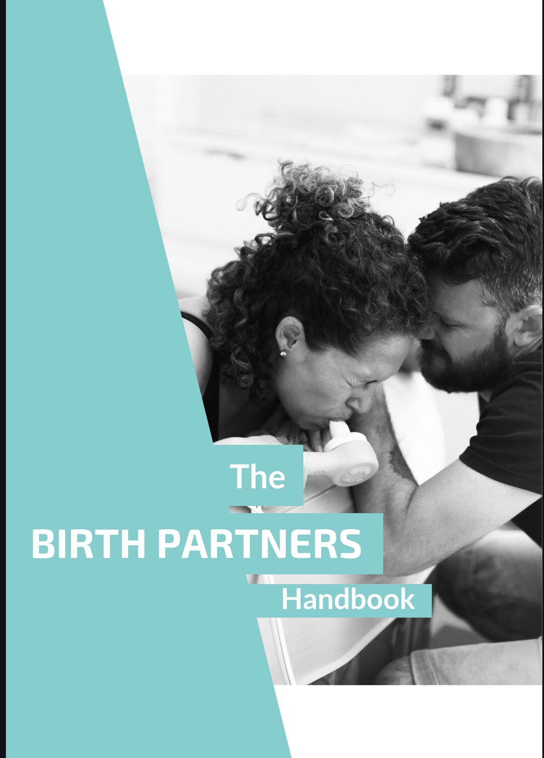 Birth Partner Handbook - Etsy