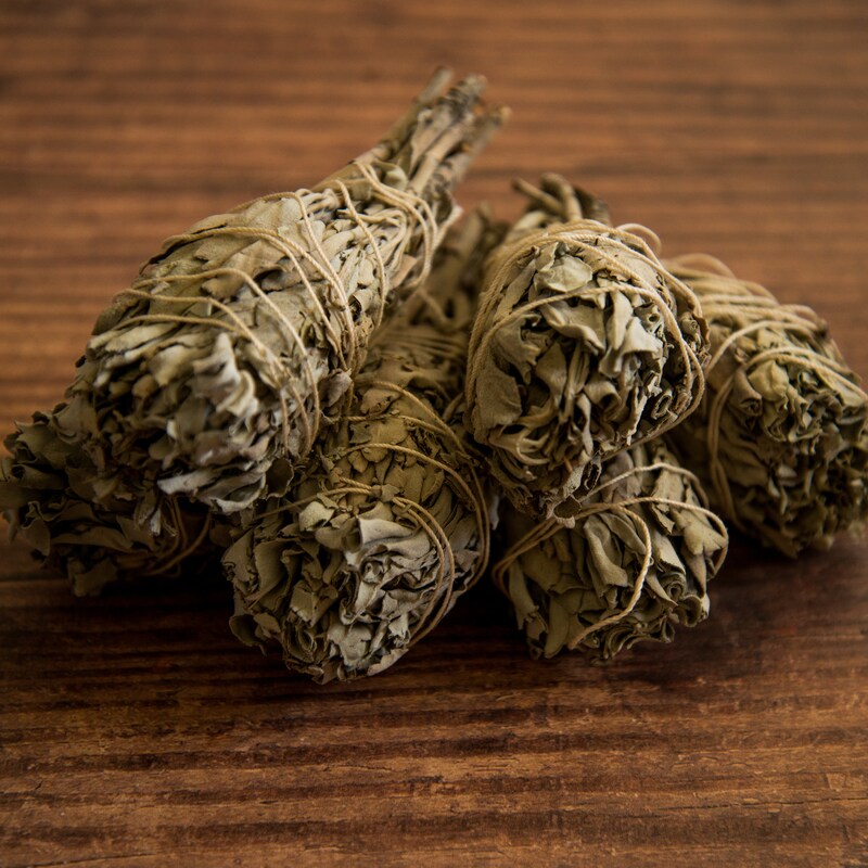 Sage Bundle - Etsy