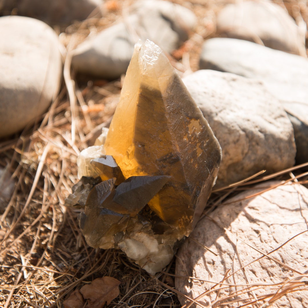 Dogtooth Calcite Cluster Maroc 669 grammes - Etsy France