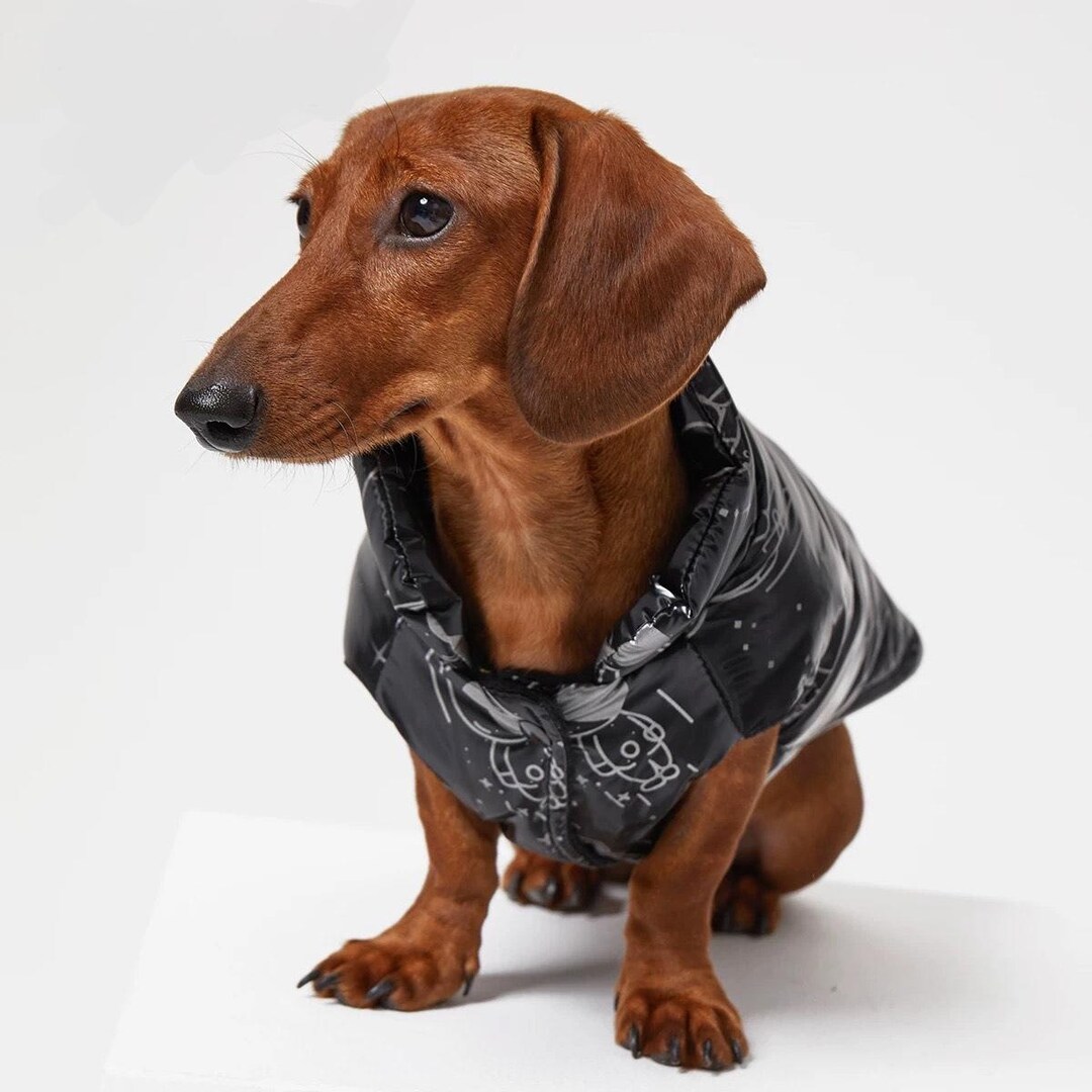 Reflective Dog Jacket – Warm Puffer Coat for Dachshund, Waterproof ...