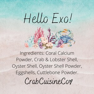 Hello Exo! - Hermit Crab Calcium/exoskeleton Mix - 3 or 4 Ounces by ...