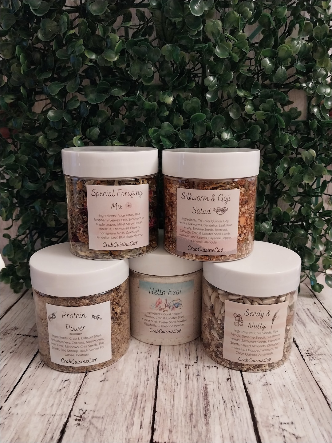 Hermit Crab Ultimate Essential Food Bundle 5 Jars Calcium/protein/fat ...