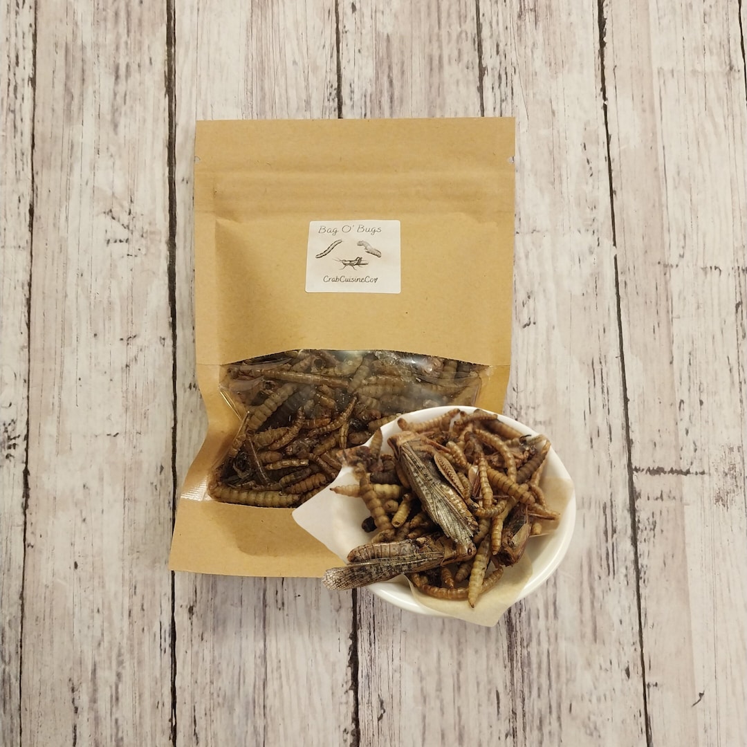 Bag O' Bugs Hermit Crab Food Protein Bug Mix - Etsy